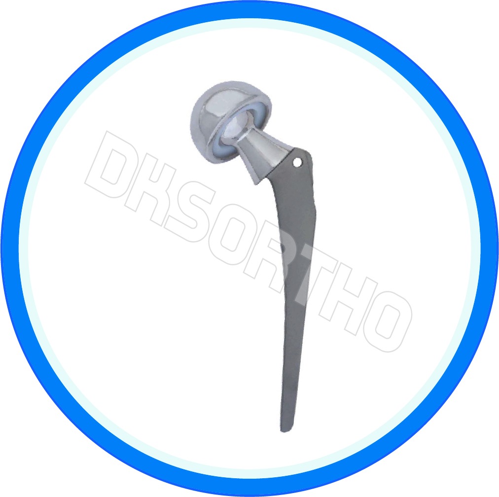 SHOULDER PROSTHESIS SYSTEM Manufacturer